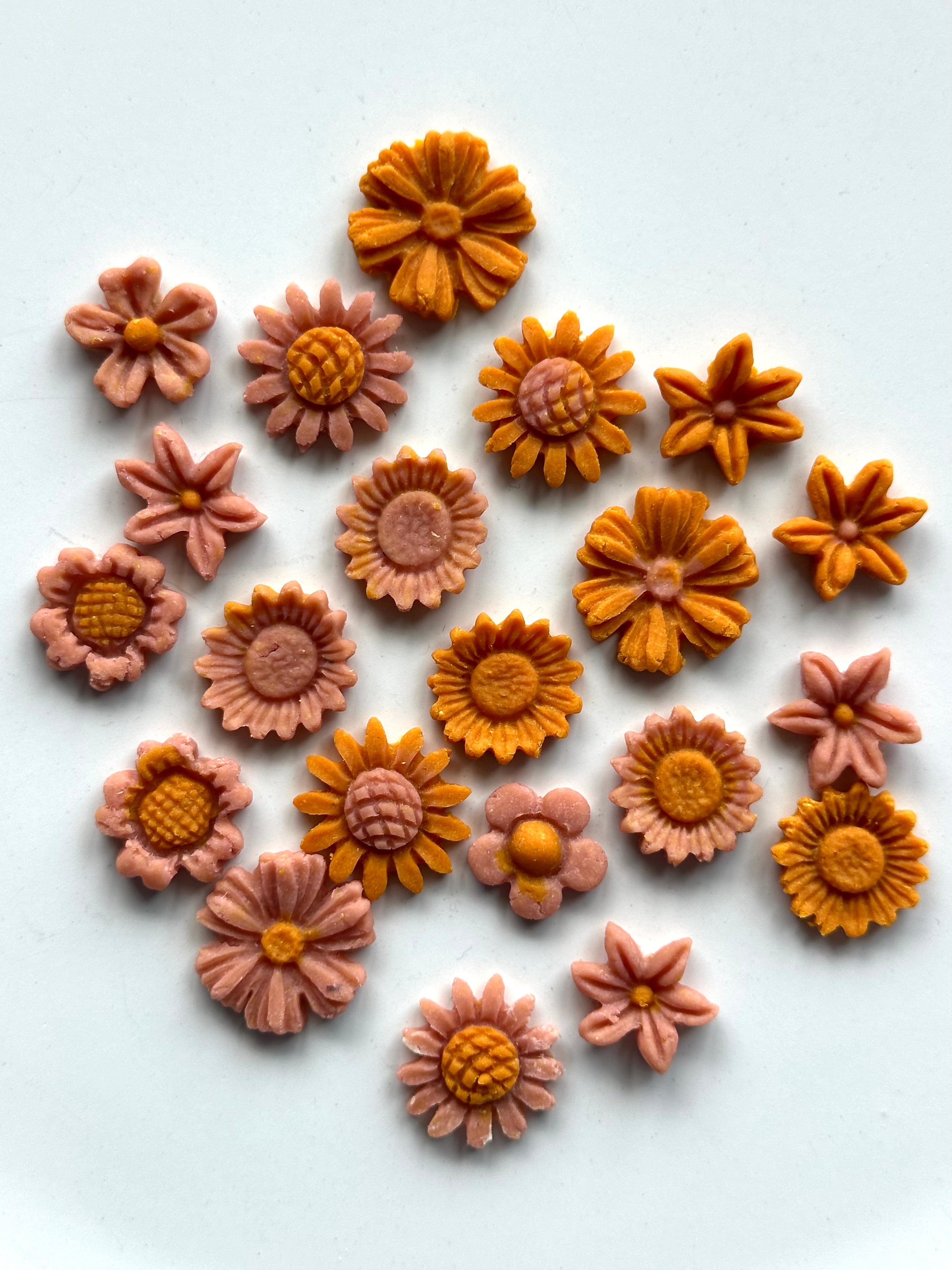 Fall Flower Feast – WildCatCo