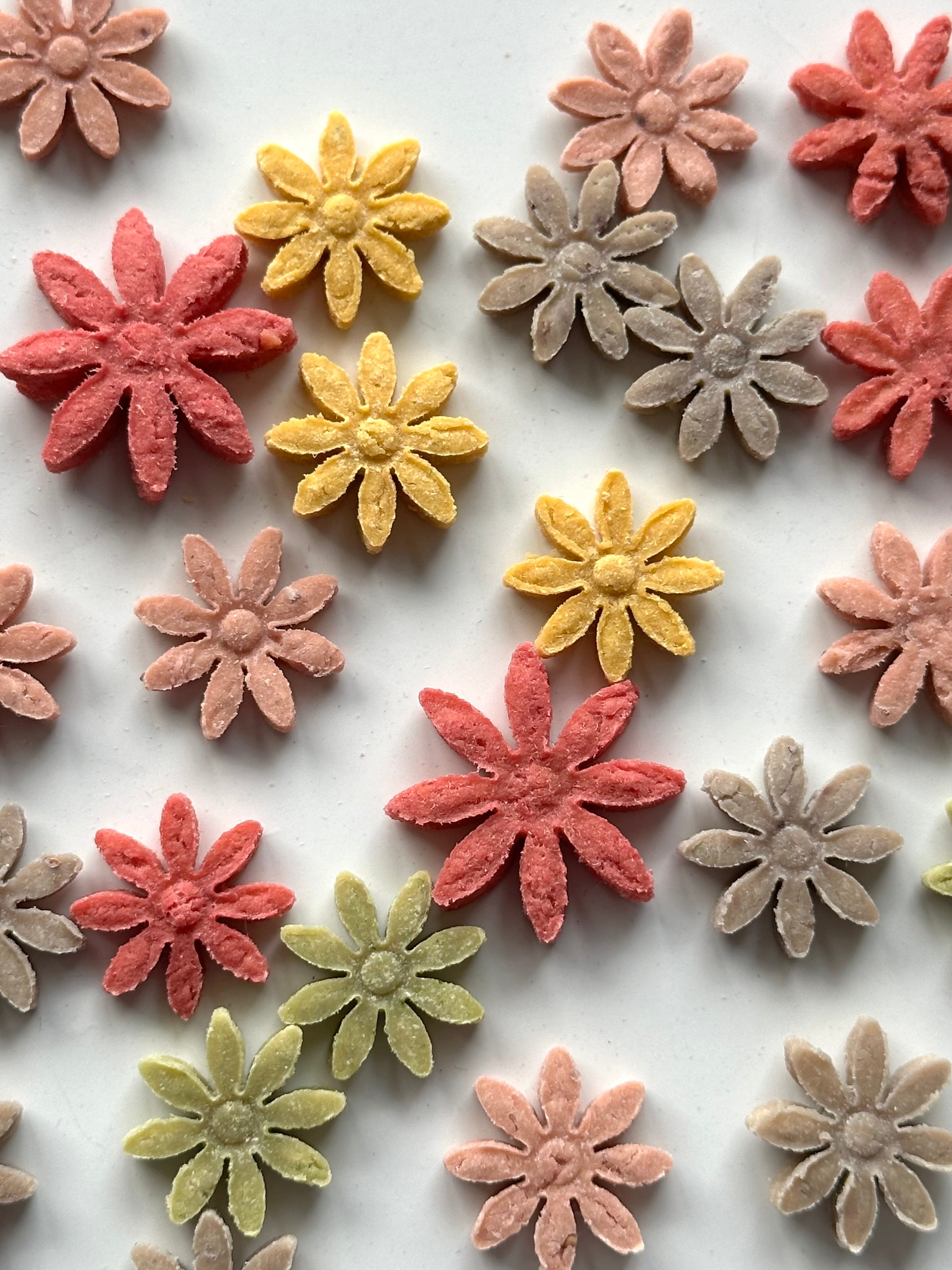 Garden Feline Biscuits – WildCatCo