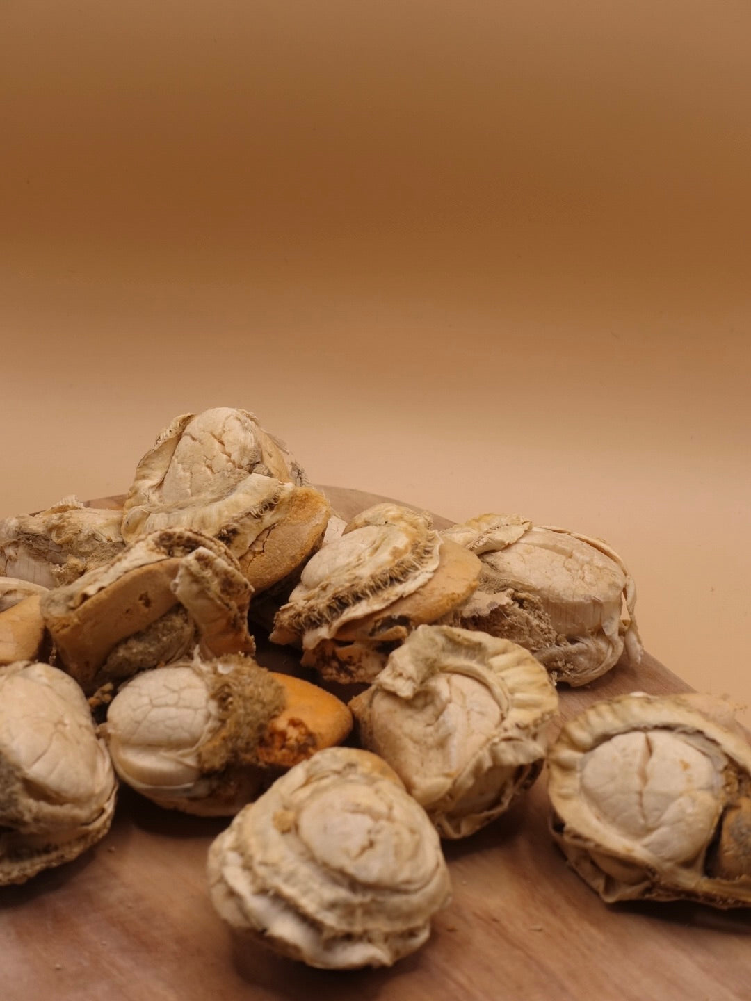 Freeze Dried Scallops – WildCatCo